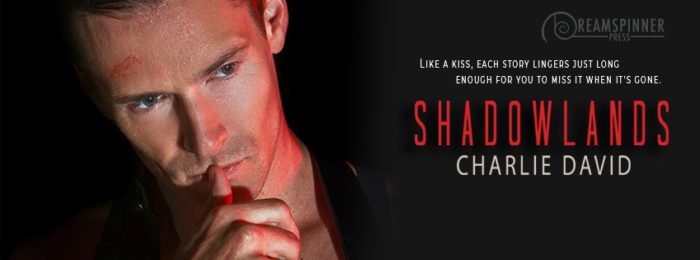 Shadowlands: the Miniseries by Charlie David ~ An Interview with ...